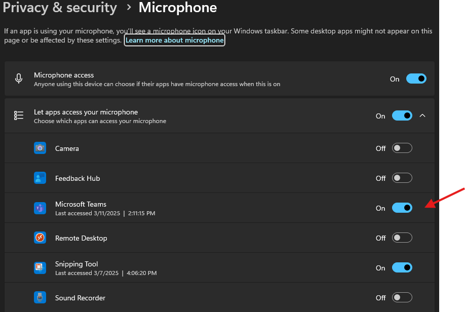 Common Microsoft Teams Audio/Camera Issues and How to Fix Them ...